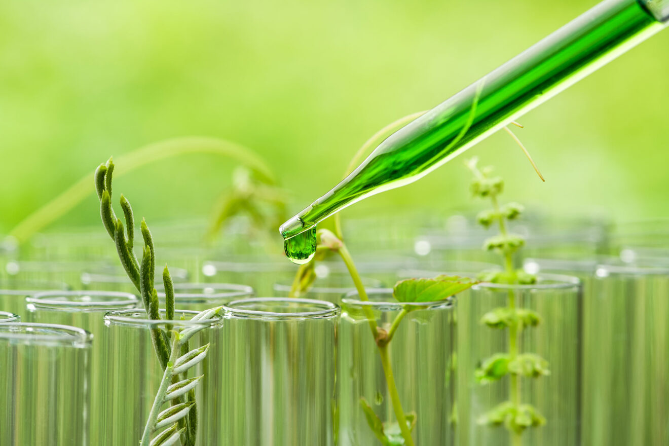 Functional Actives for Personal Care Products - Kalichem Cosmetic ...