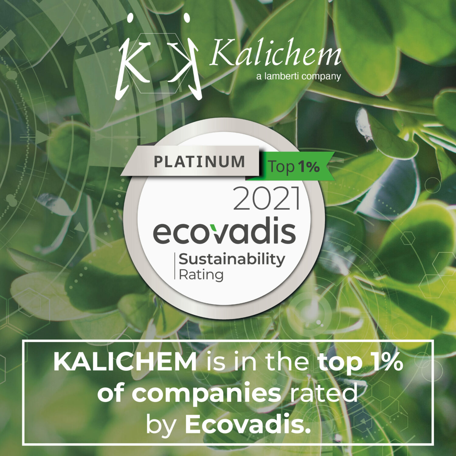 SUSTAINABILITY AWARD: Ethical Sourcing & Circular Economy - Kalichem ...