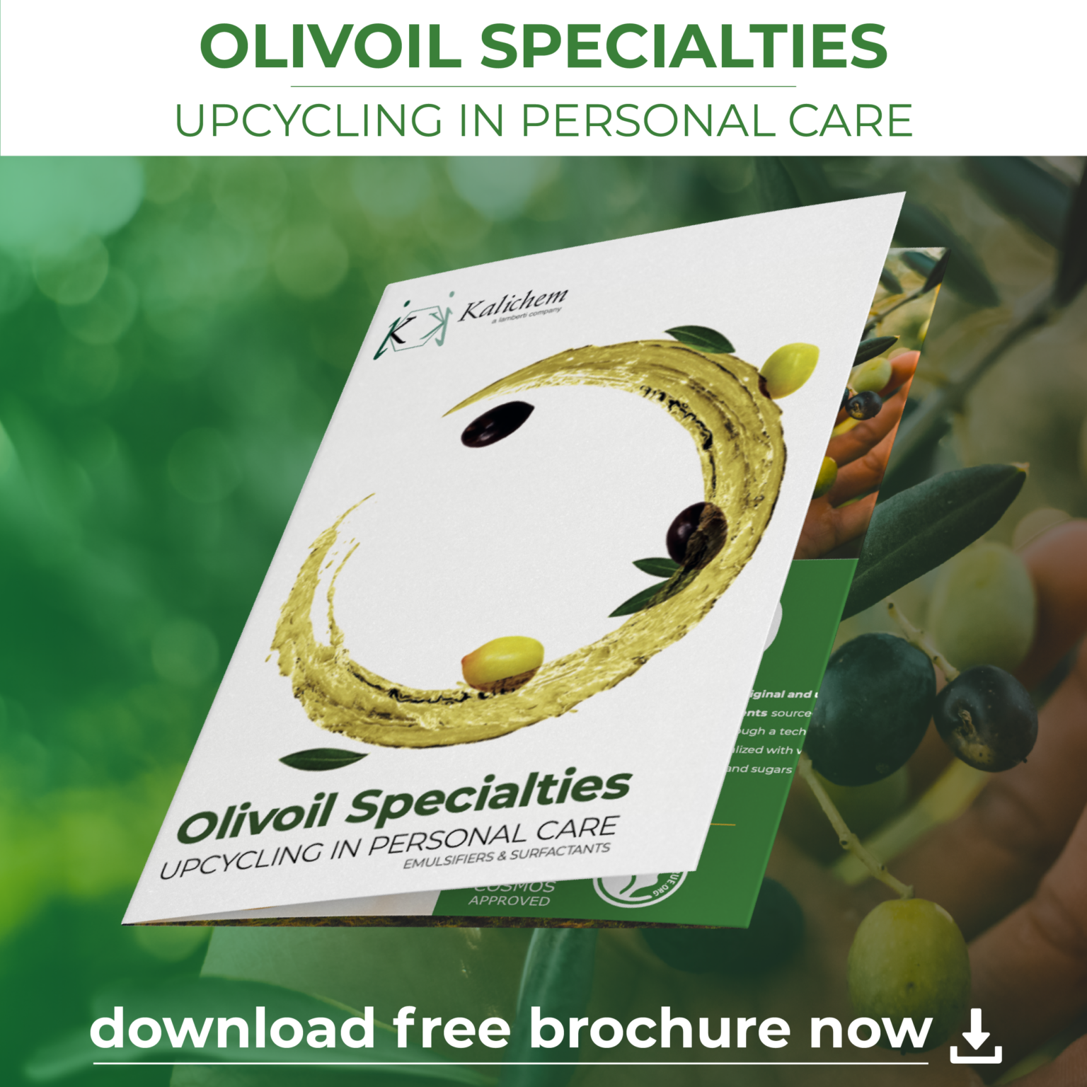 Kalichem - Cosmetic Ingredients Manufacturer