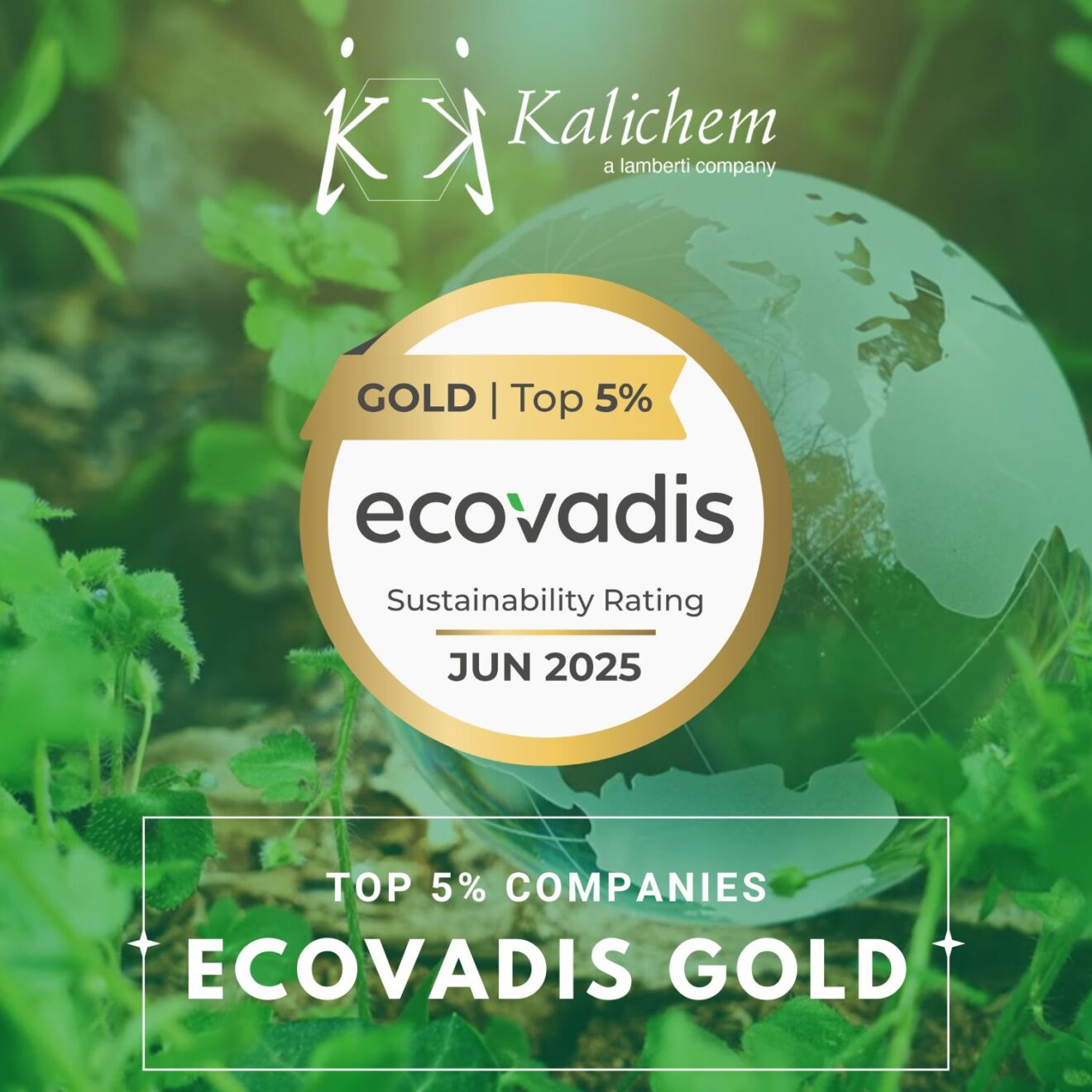 Kalichem - Cosmetic Ingredients Manufacturer